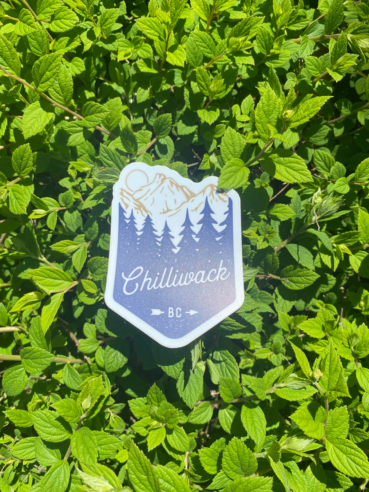 Night Sky Sticker | The Chilliwack Shop