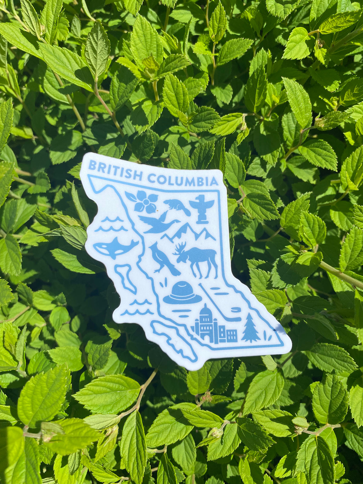BC Provincial Sticker | The Chilliwack Shop