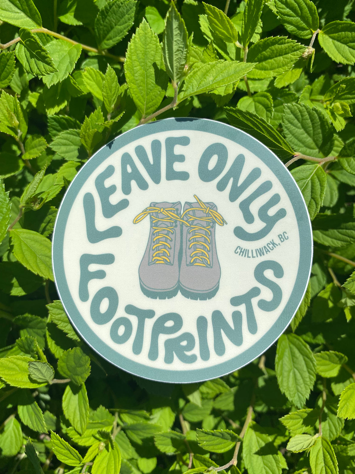 Leave Only Footprints Sticker | The Chilliwack Shop